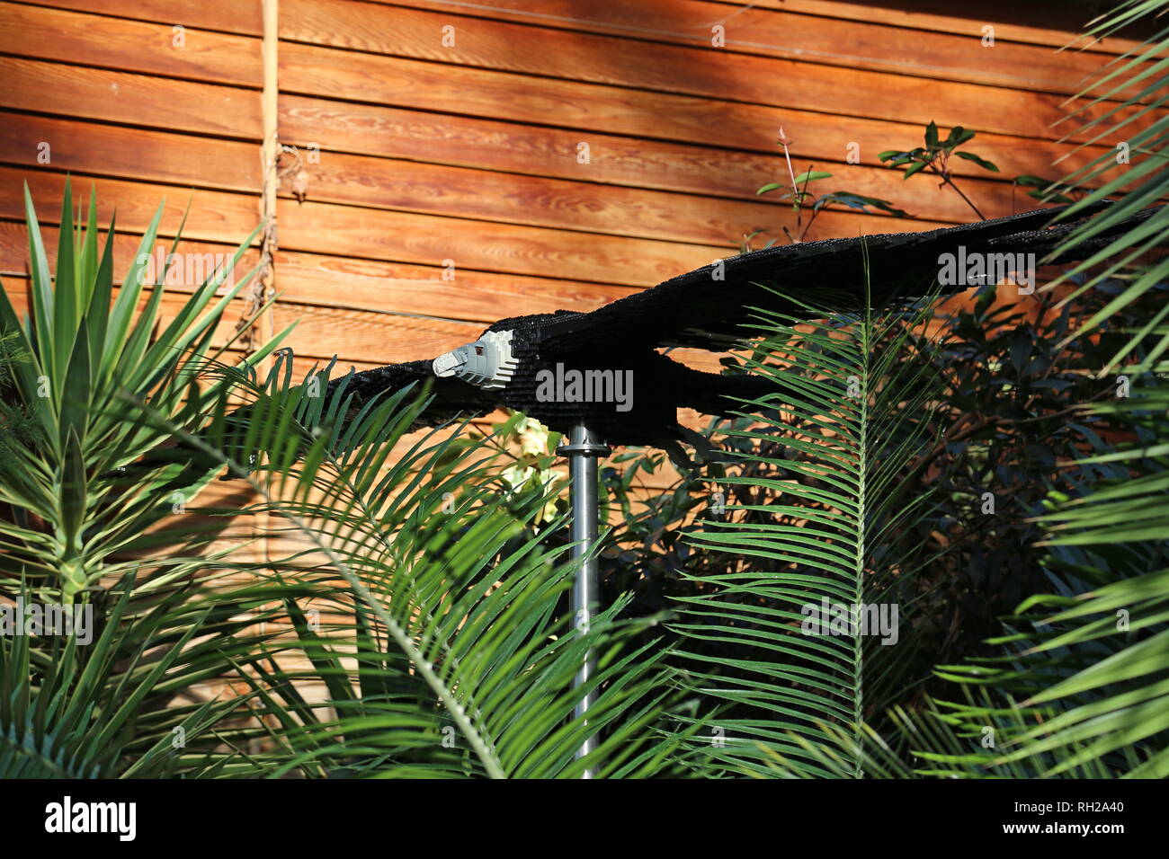 Great Brick Safari 2019, Andean Condor made of Lego, RHS Garden Wisley ...