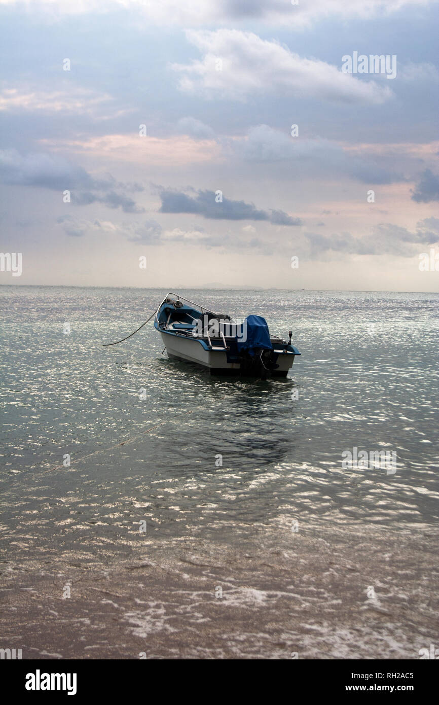 Tail azure blue hi-res stock photography and images - Alamy