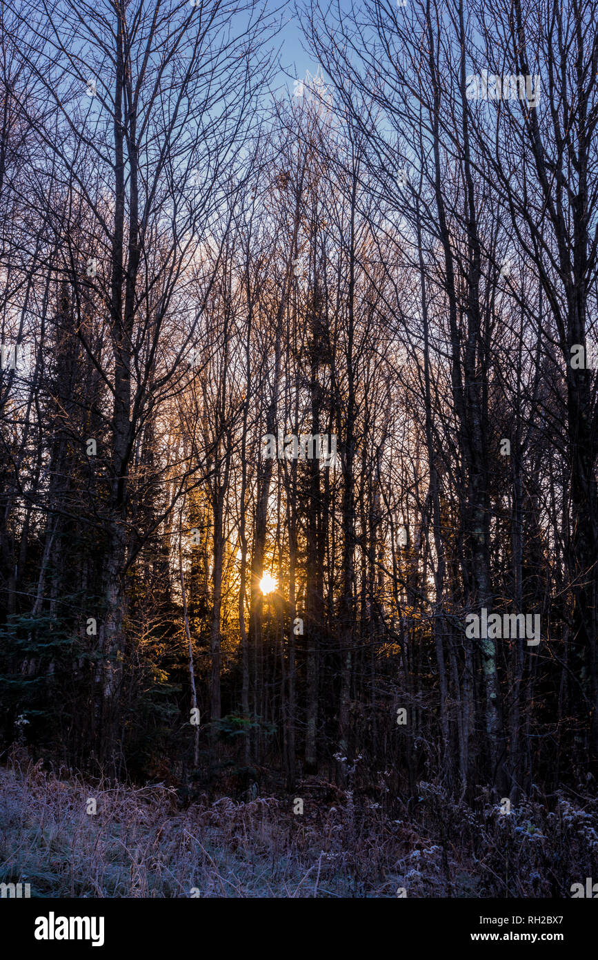 Northwoods wisconsin fall hi-res stock photography and images - Alamy