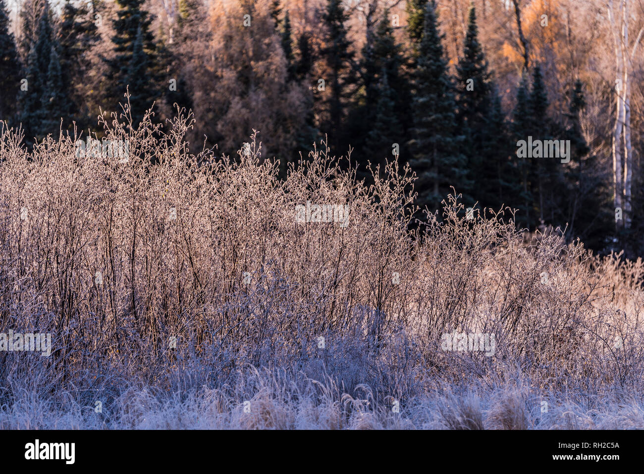Northwoods wisconsin fall hi-res stock photography and images - Alamy