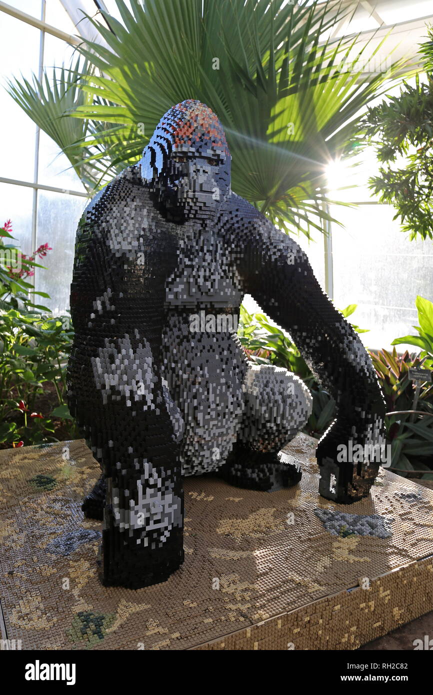 Gorilla lego hi-res stock photography and images - Alamy