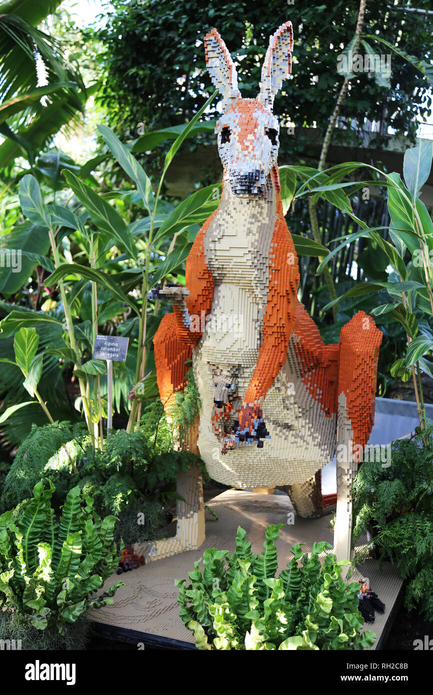 Lego kangaroo hi-res stock photography and images - Alamy