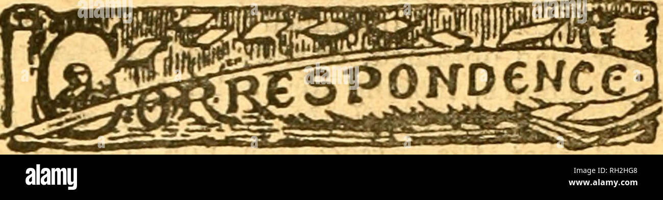 British occup hi-res stock photography and images - Alamy