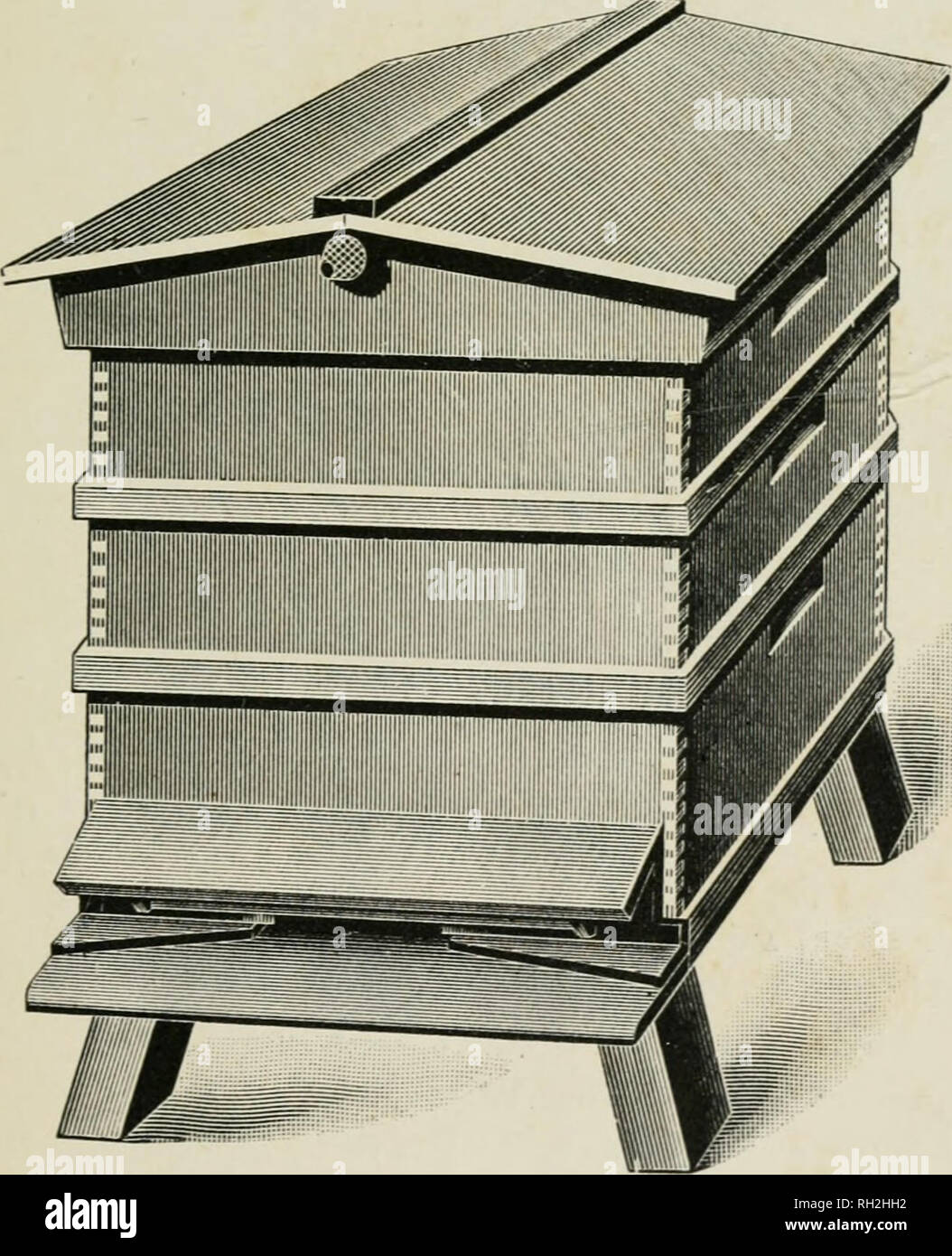 London w model management hi-res stock photography and images - Alamy