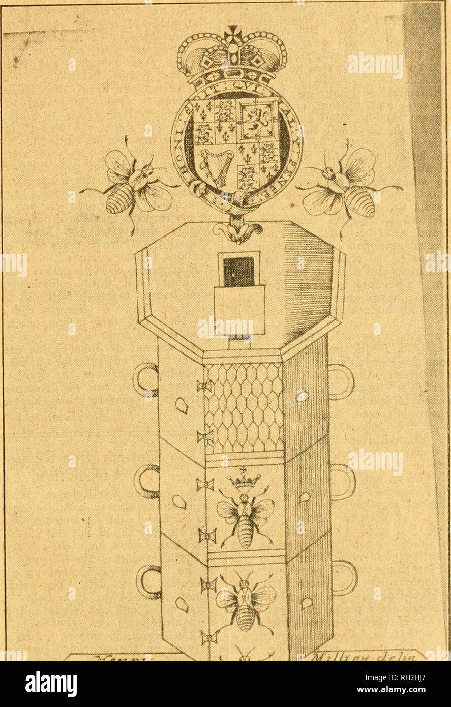 . British bee journal & bee-keepers adviser. Bees. Aug. 17, 1922. John ...