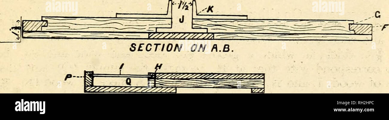 . British bee journal & bee-keepers adviser. Bees. B— Plan of Base ...