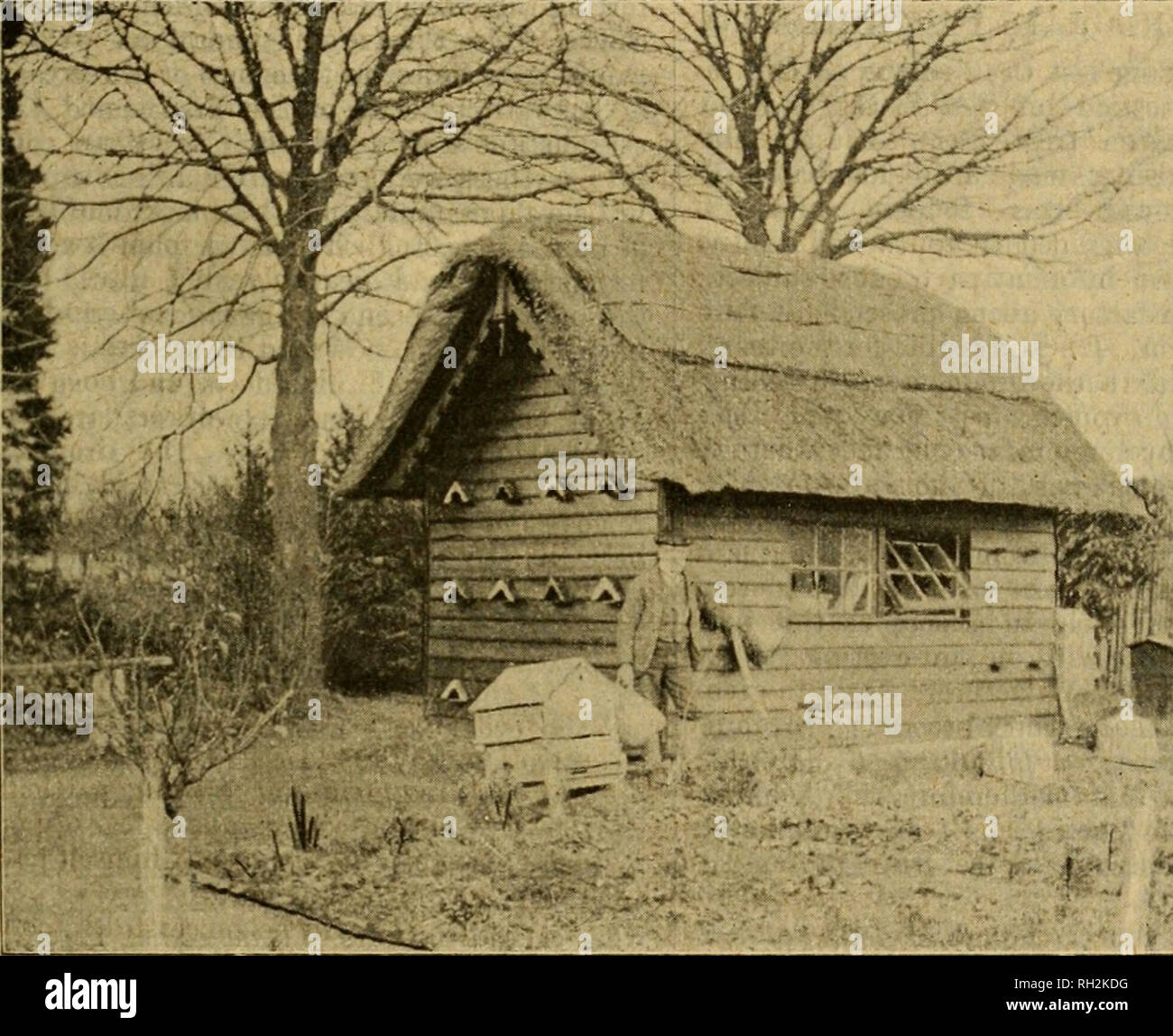 How mr capa hi-res stock photography and images - Alamy