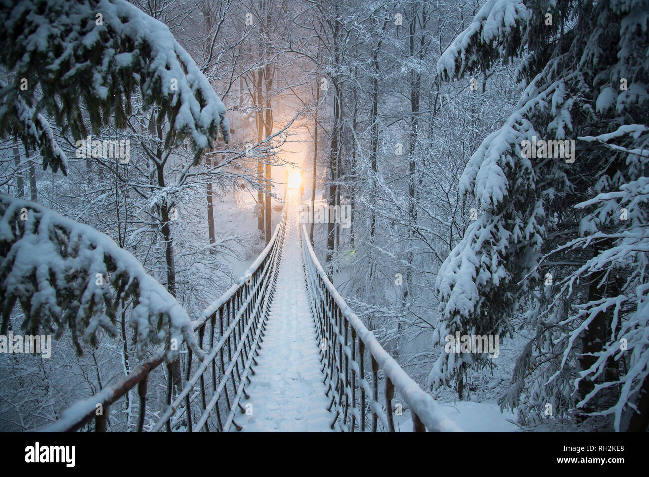 In the snowy winter forest hangs a rope bridge. At the end of the way a ...