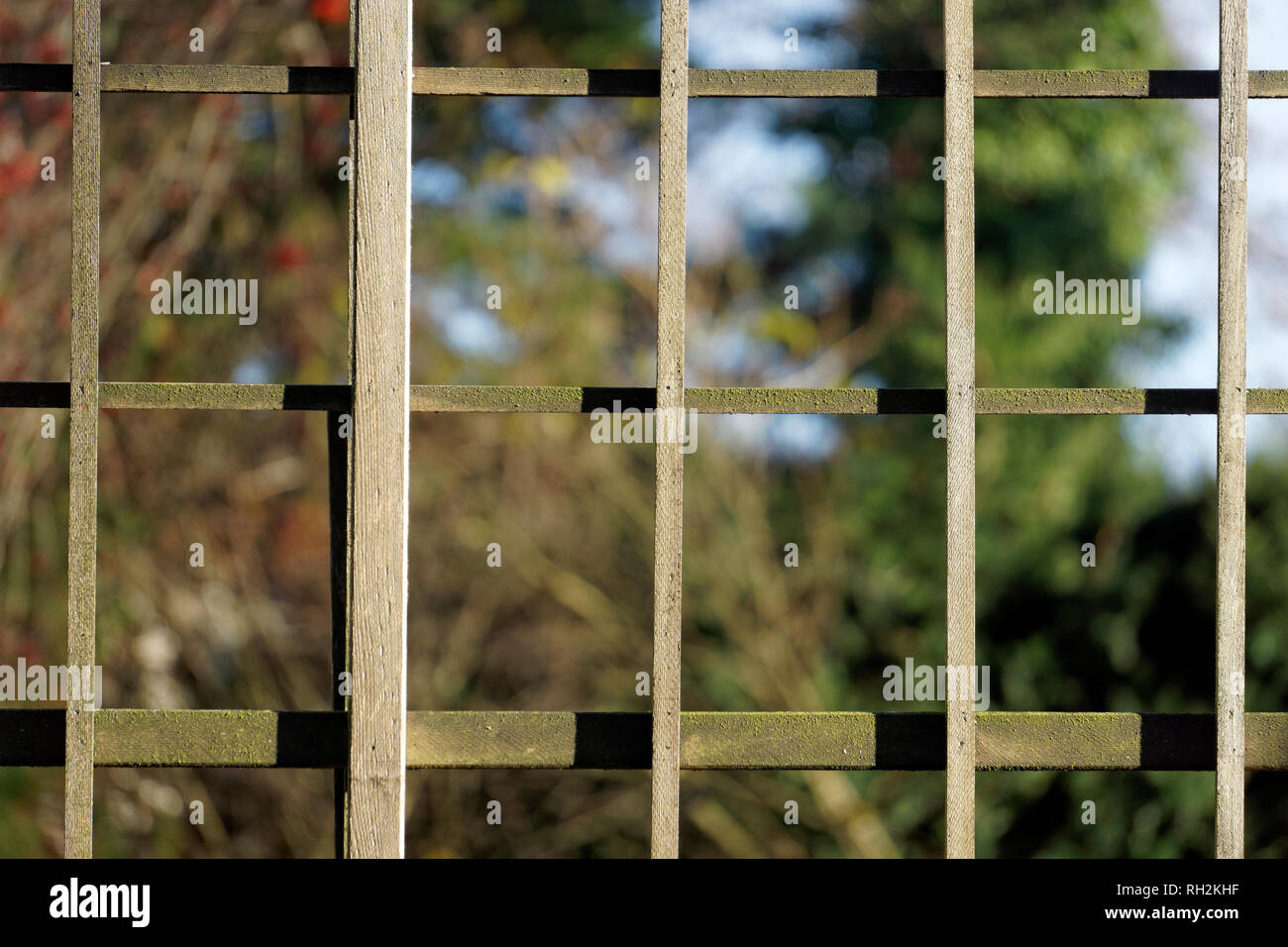 Rectangular compartments hi-res stock photography and images - Alamy