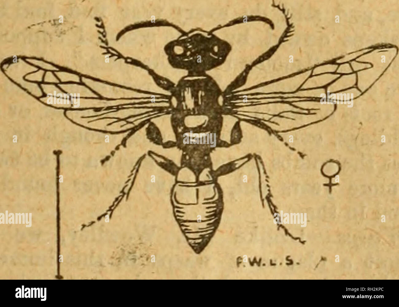 Eighteen African States High Resolution Stock Photography and Images ...