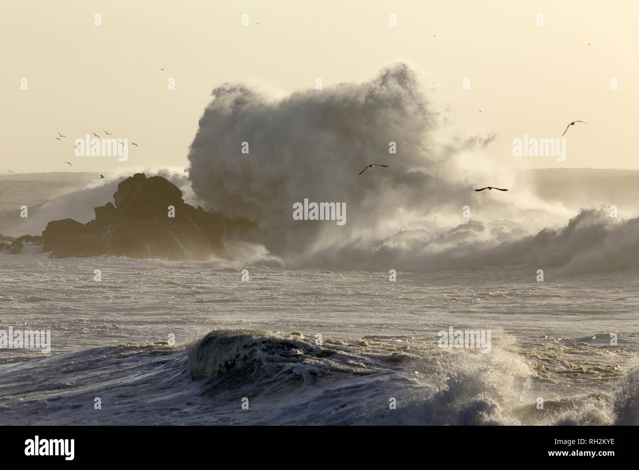 Backlit sea hi-res stock photography and images - Alamy