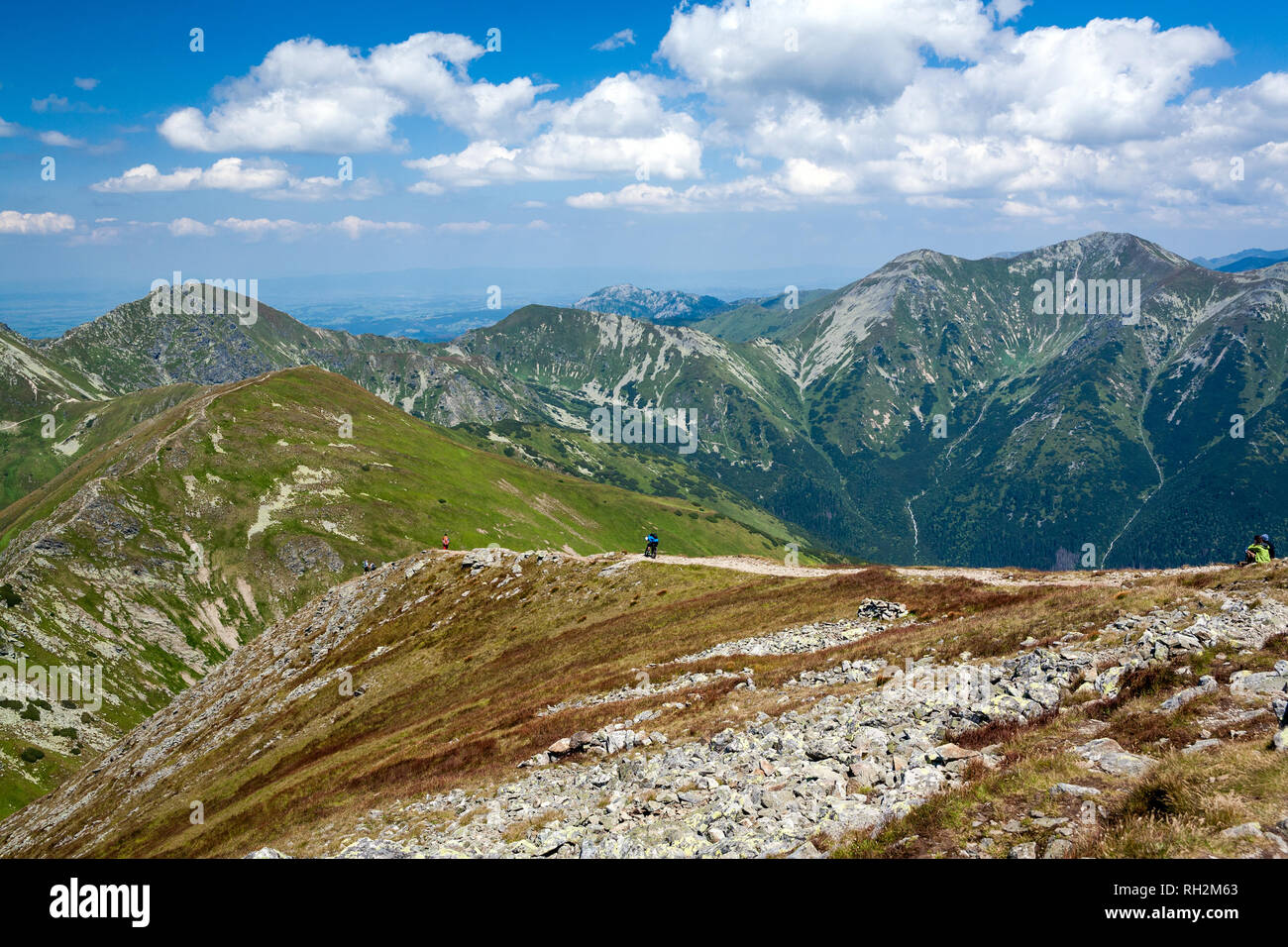 Tatra force hi-res stock photography and images - Alamy