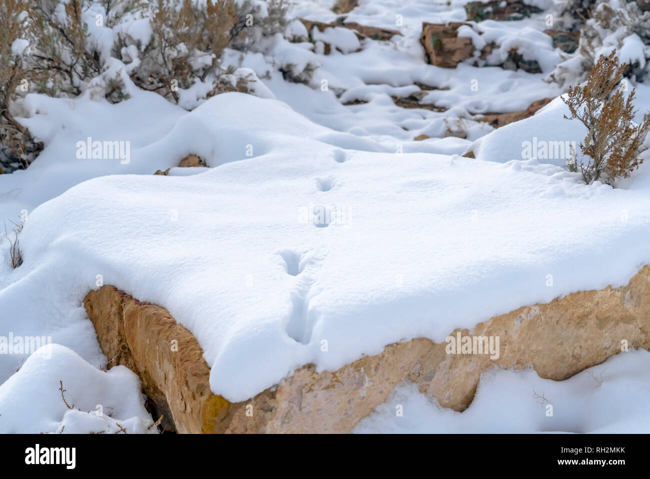 Rocky landscape with footsteps on the snow Stock Photo - Alamy