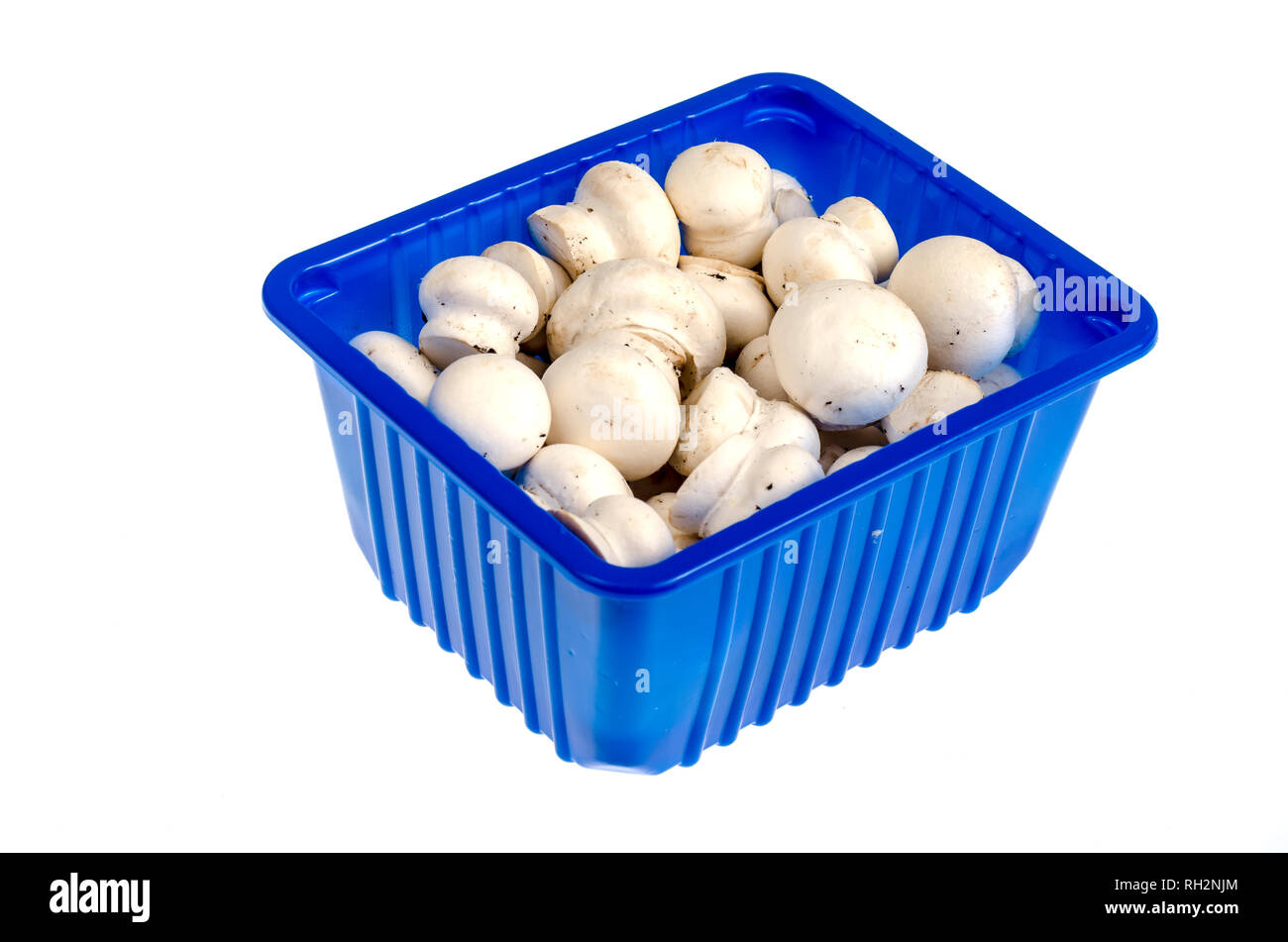Fresh little white champignons in blue plastic form. Studio Photo Stock ...