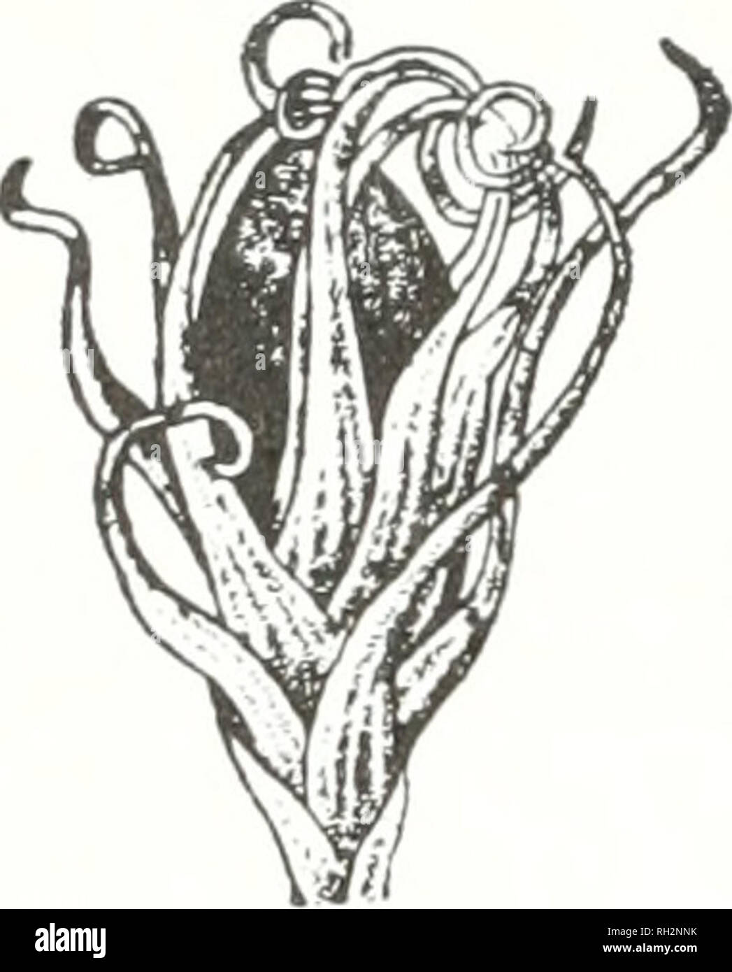 1907 1989 hi-res stock photography and images - Alamy