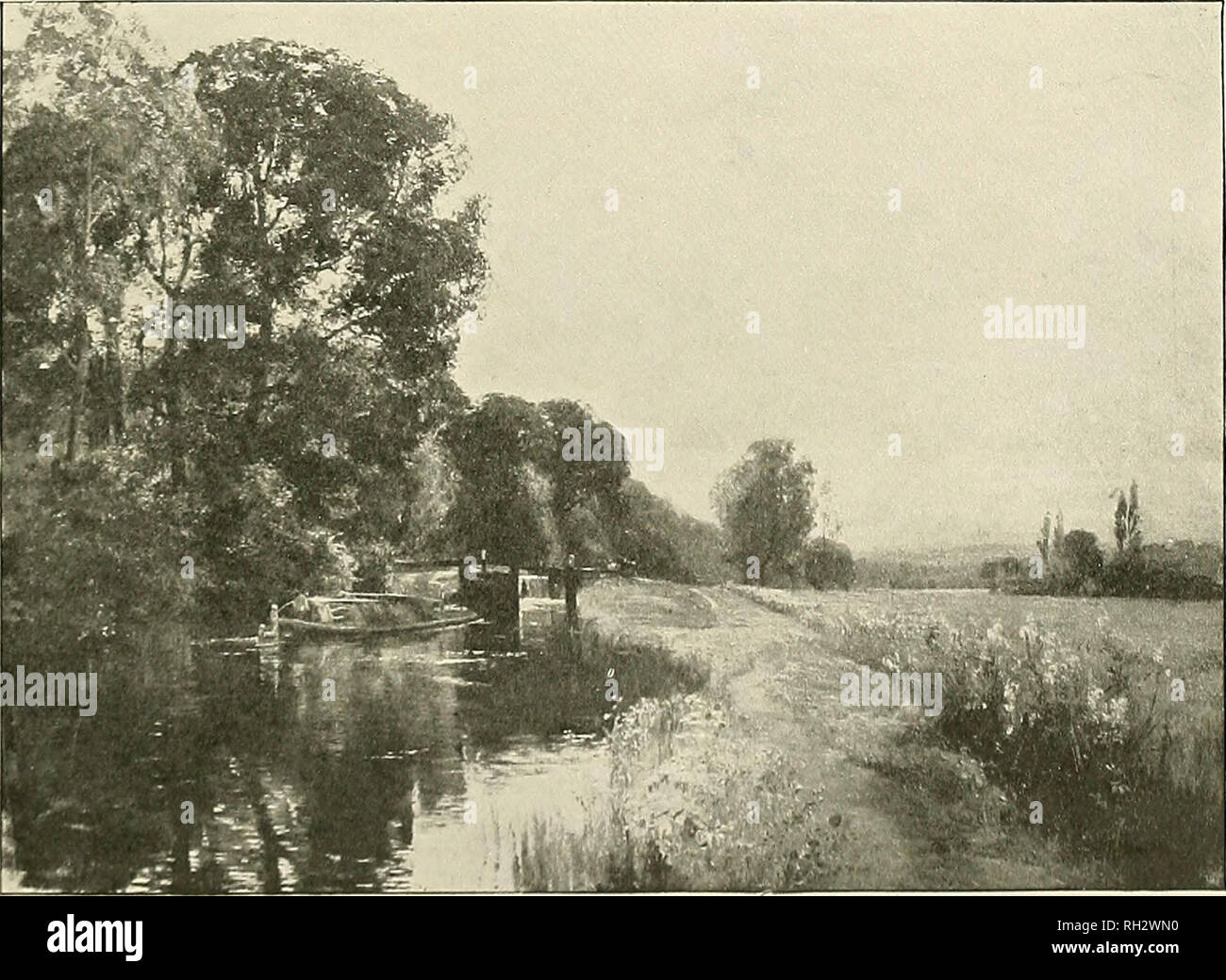 Osier beds hi-res stock photography and images - Alamy