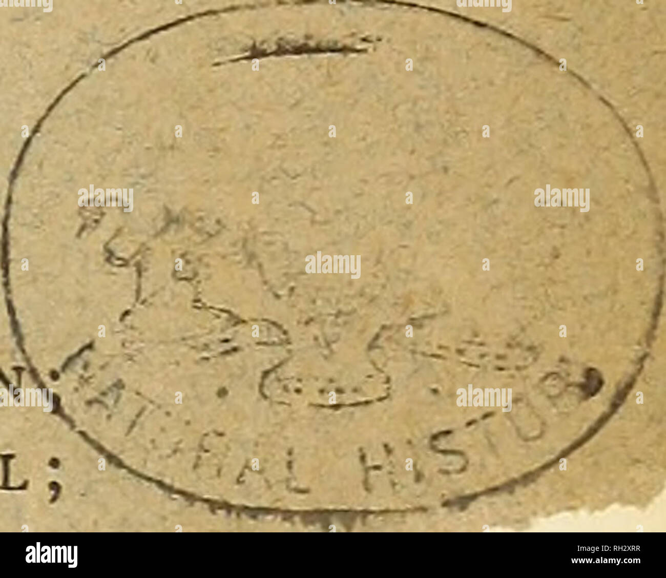 Joseph gregson hi-res stock photography and images - Alamy