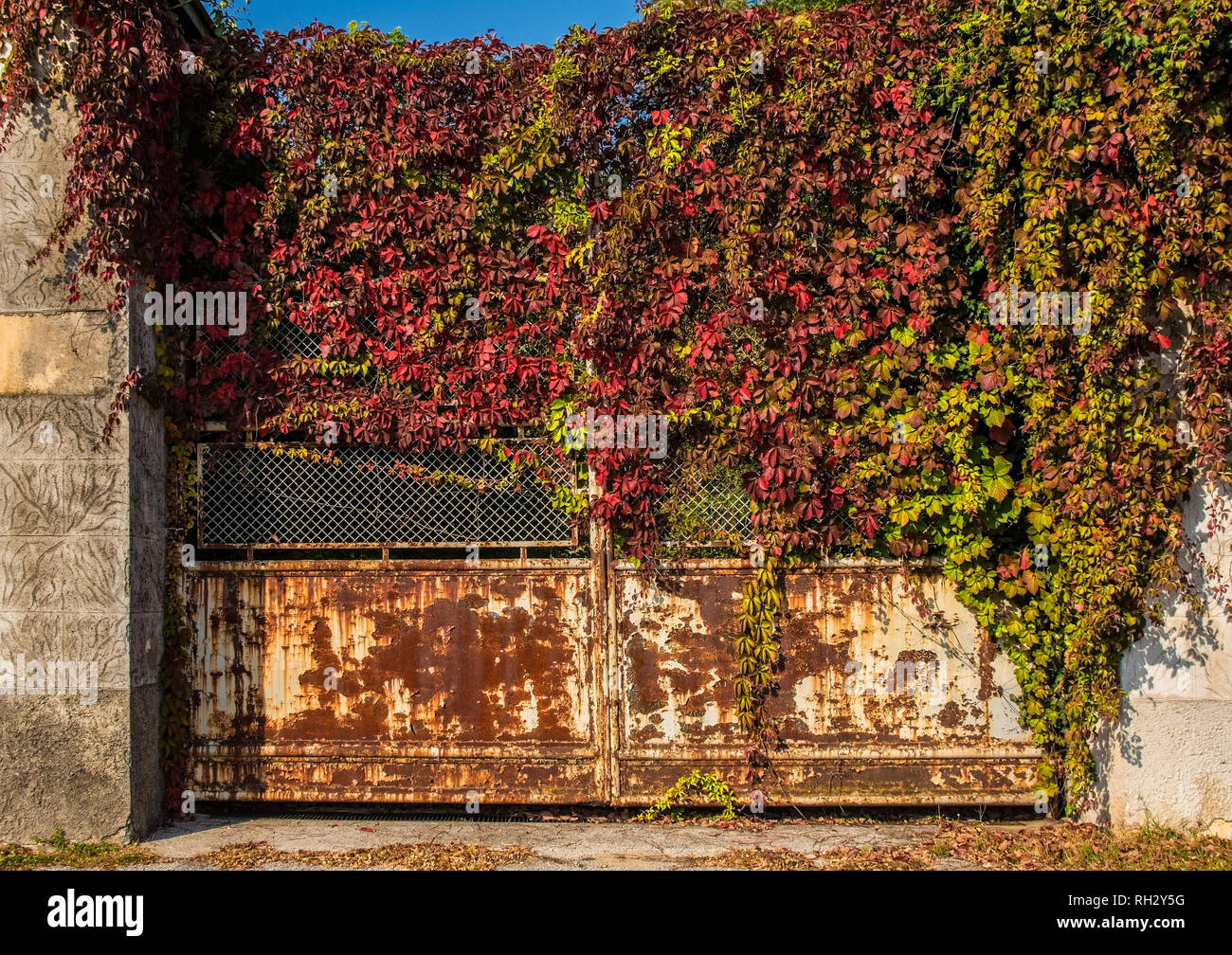 Derelict gate hi-res stock photography and images - Alamy