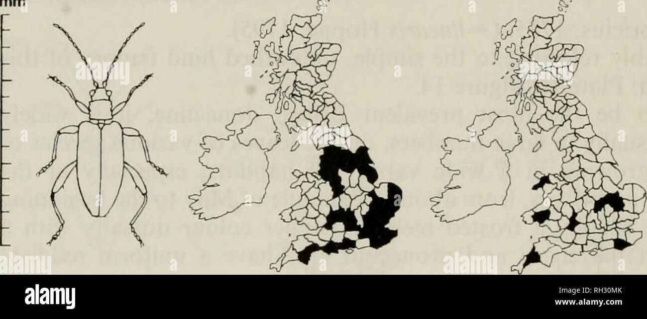 British Journal Of Entomology And Natural History Natural History