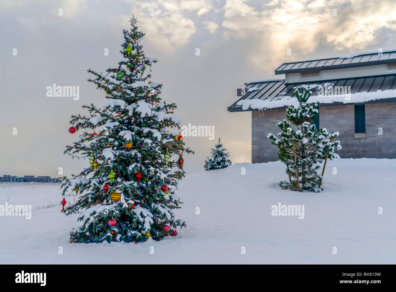 Tree with Christmas decorations on snowy landscape Stock Photo - Alamy