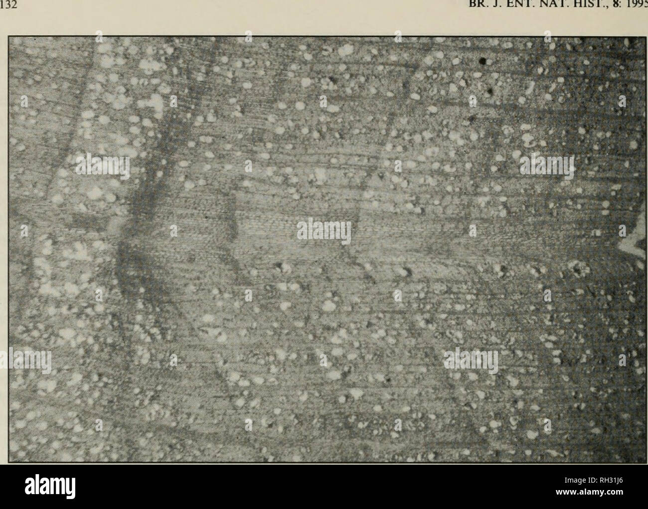 . British journal of entomology and natural history. Natural history ...