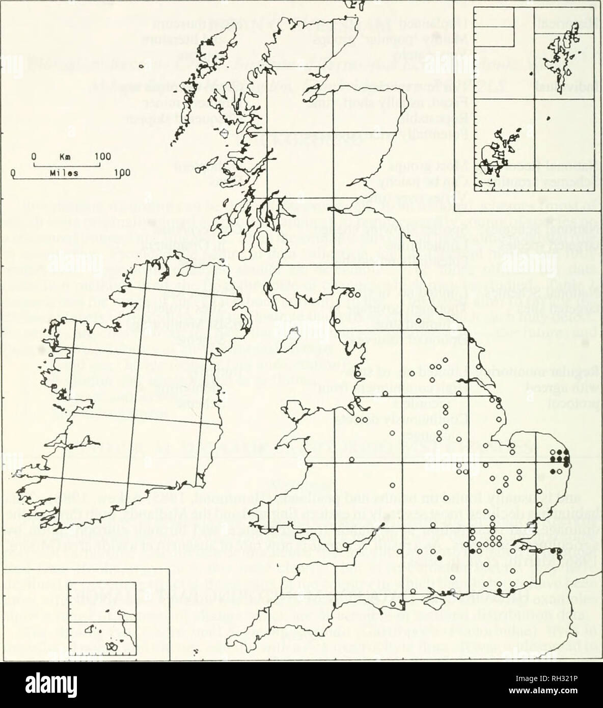 Shining rams horn snail hi-res stock photography and images - Alamy