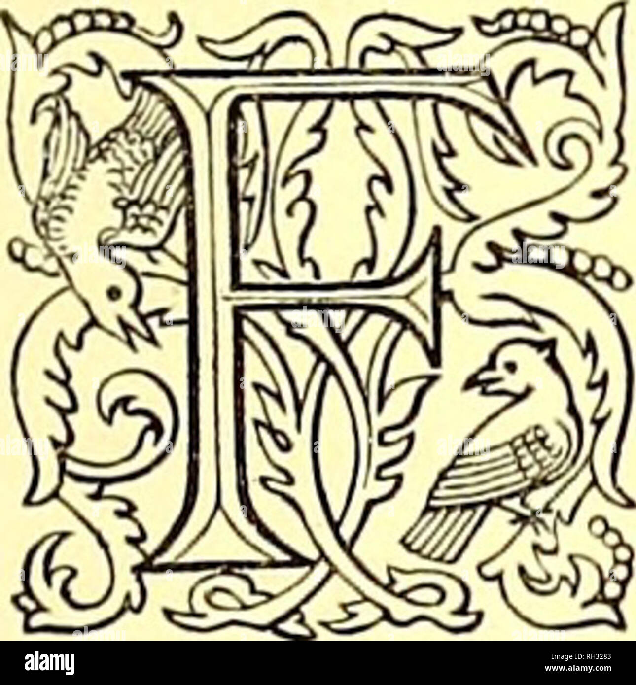 Principal moss High Resolution Stock Photography and Images - Alamy