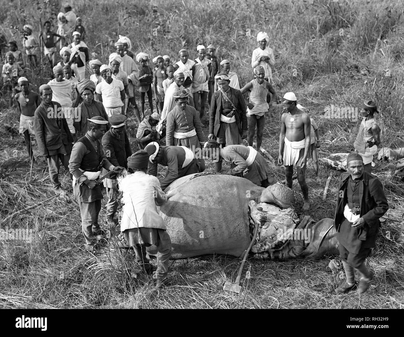 King George V's tiger shooting expedition in Nepal, following an ...