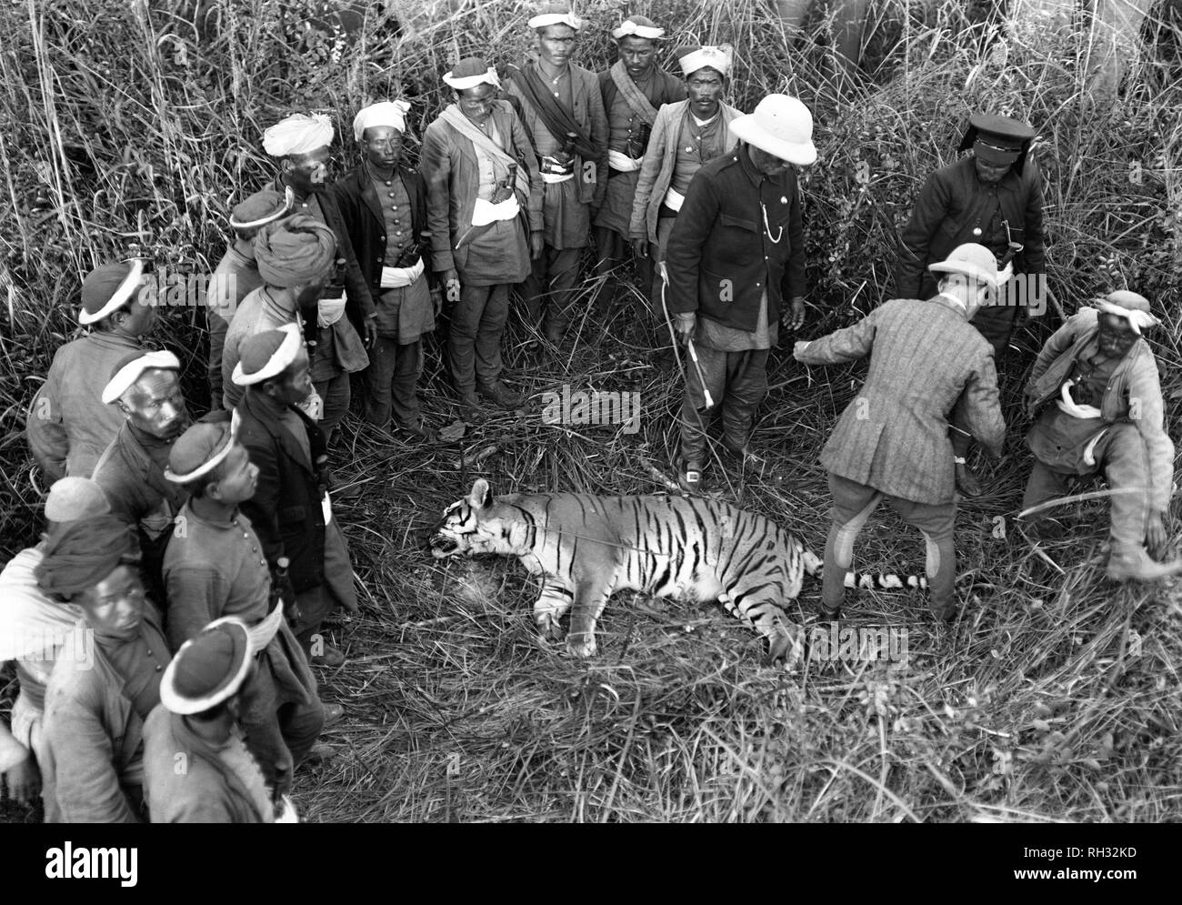 Tiger Hunting Black and White Stock Photos & Images - Alamy