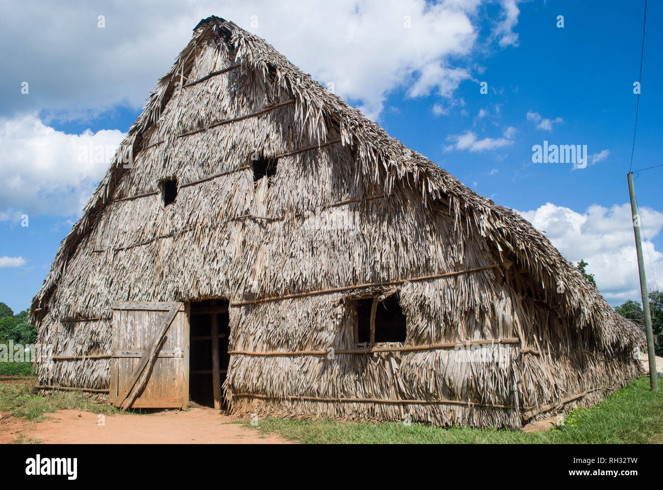 Cigar factory Cuba. Hut made of palm leaves. Manual production of Cuban ...