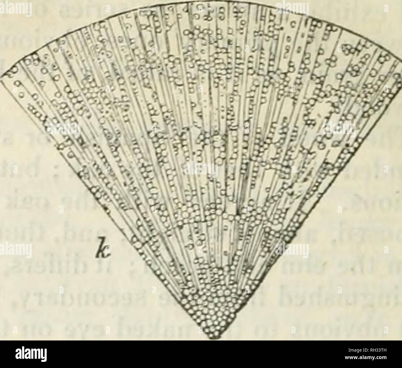 Straight and wavy rays hi-res stock photography and images - Alamy