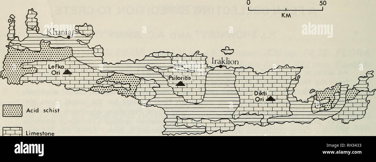 . The British fern gazette. Ferns. 332 BRITISH FERN GAZETTE: VOLUME 1 0 ...