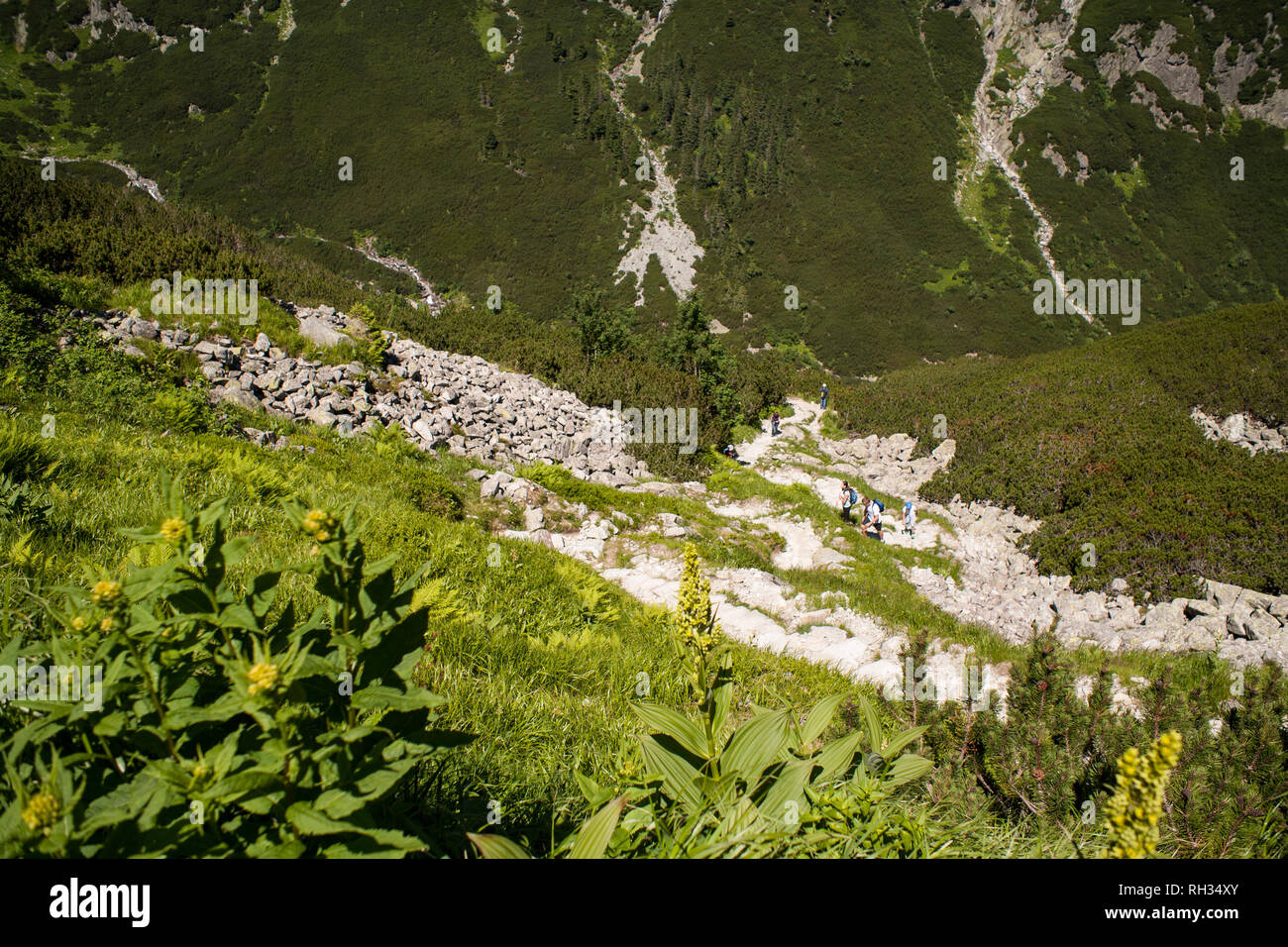 Valley Of Five Ponds In The Tatra Mountains High Resolution Stock ...