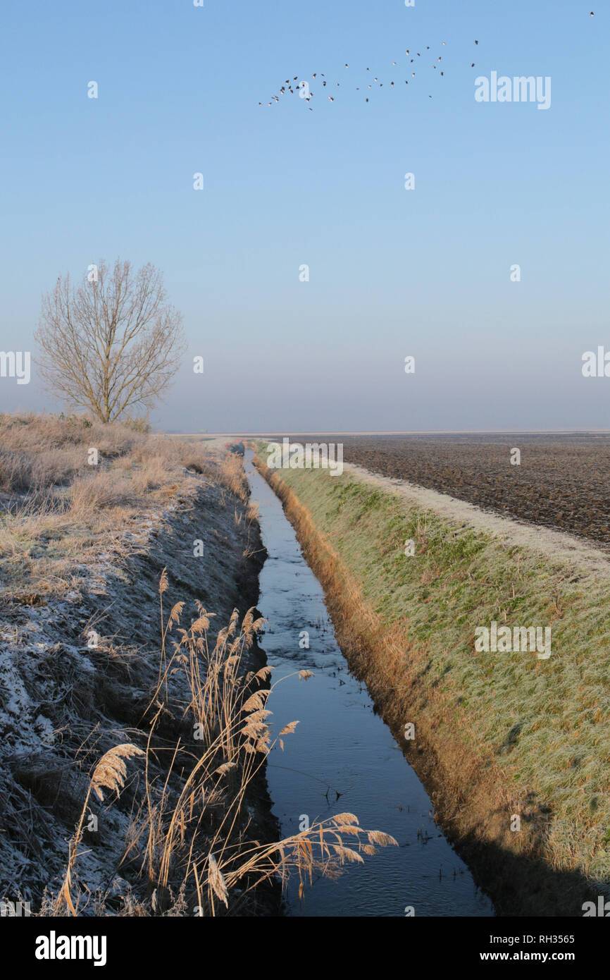 Drainage of the fens hi-res stock photography and images - Alamy