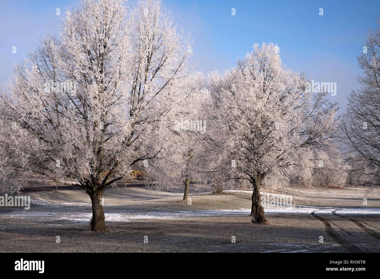 Frosted trees winter snow hi-res stock photography and images - Alamy