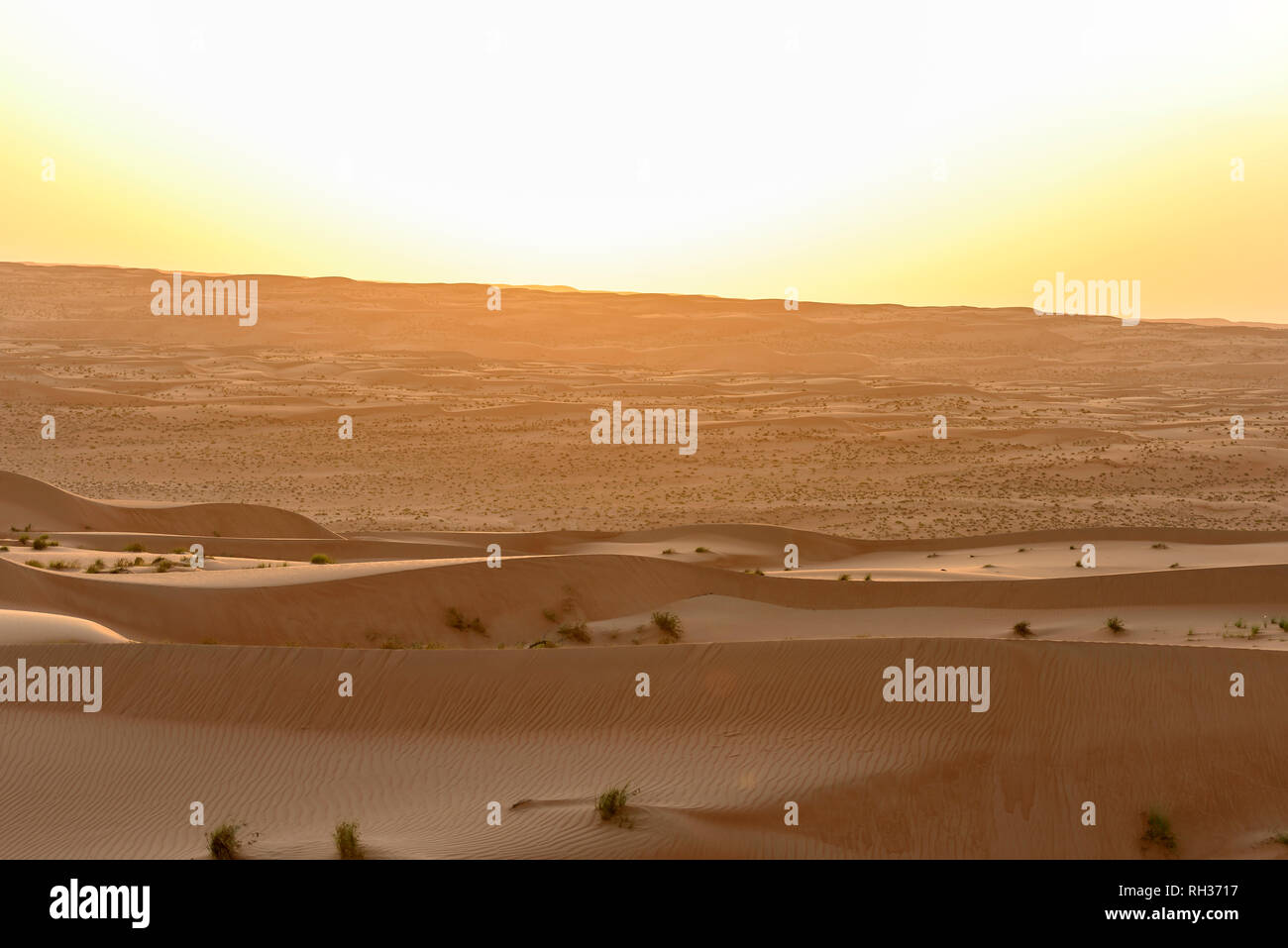 Sand dunes at sunset Stock Photo - Alamy