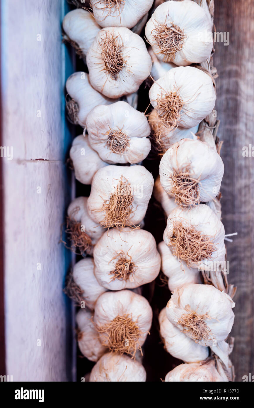 Of dried garlic hi-res stock photography and images - Alamy