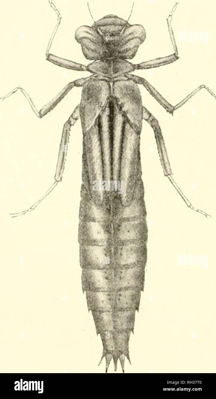 Backwards sloping hi-res stock photography and images - Alamy