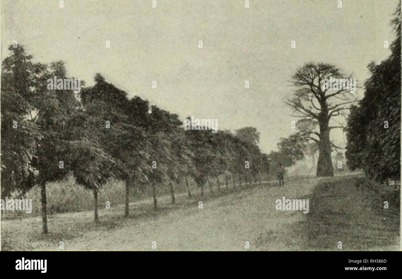 Angoni hi-res stock photography and images - Alamy