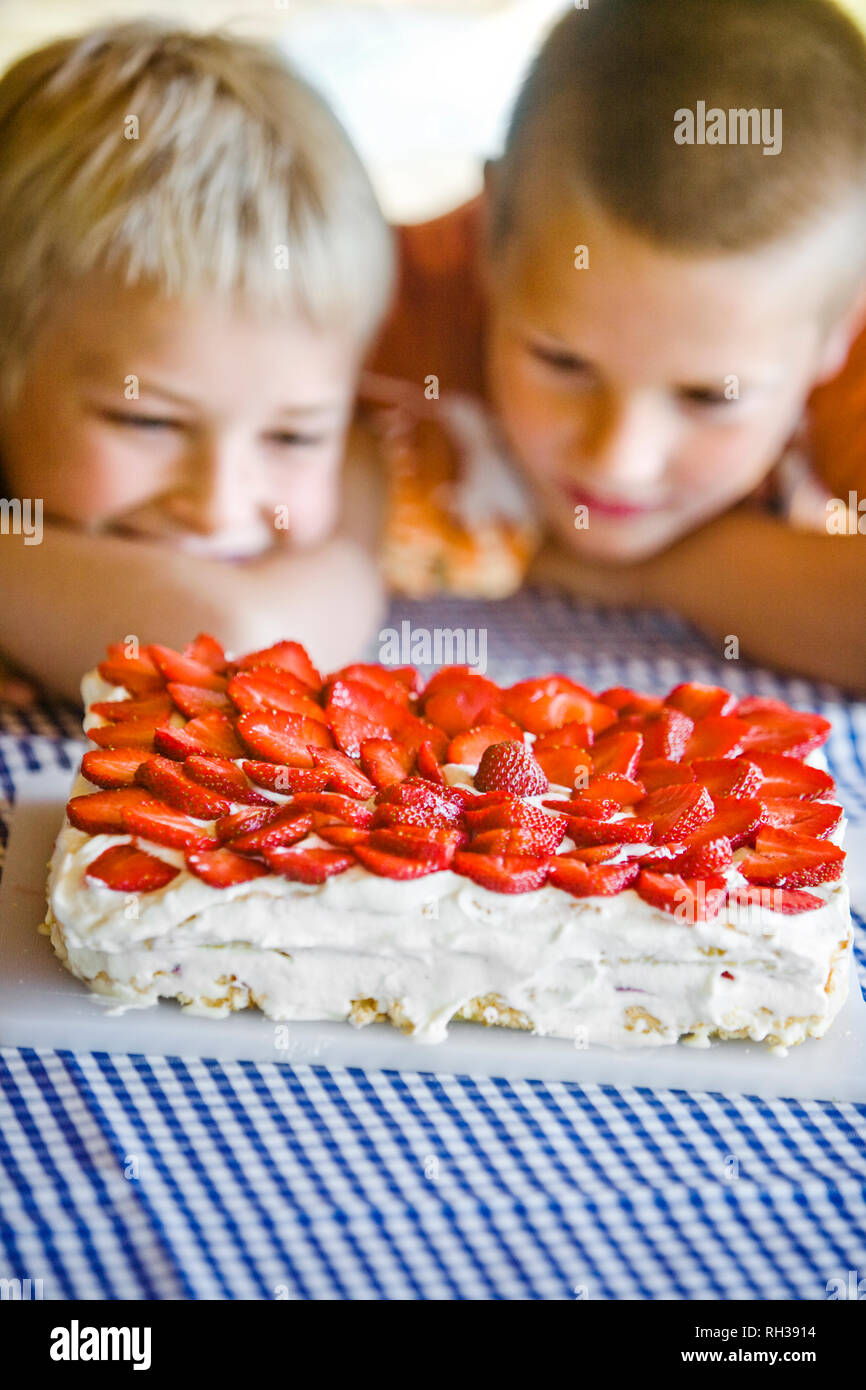 Boys looking at cake Stock Photo - Alamy