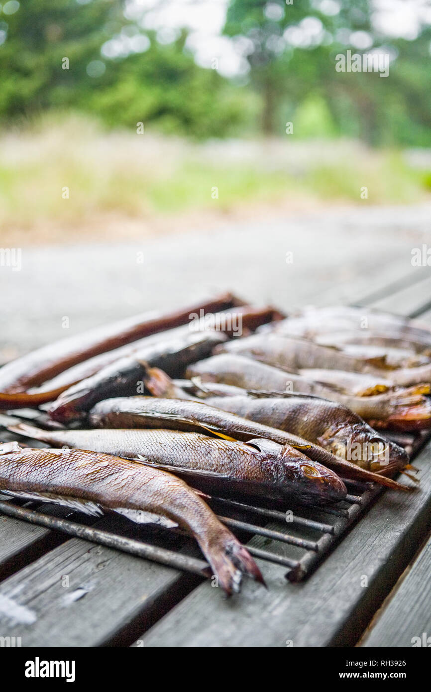 Smoked fish on metal rack Stock Photo - Alamy
