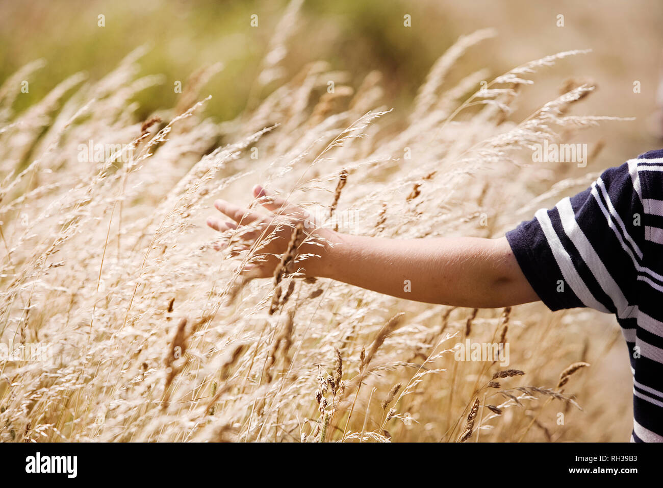 Hand on grass hi-res stock photography and images - Alamy