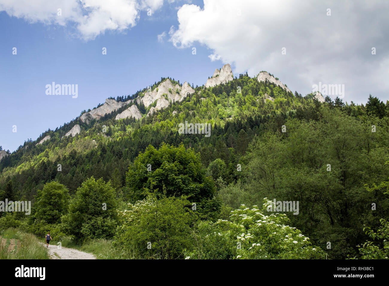 Mountains Three Crowns (Trzy Korony) is Polish Pieniny. National park ...