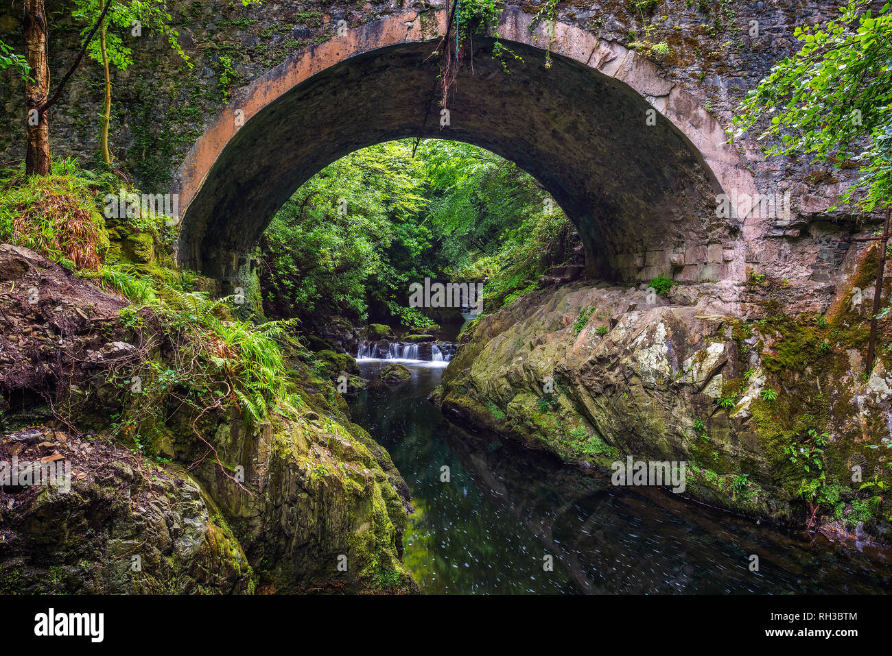 Tollymore forest park hi-res stock photography and images - Alamy
