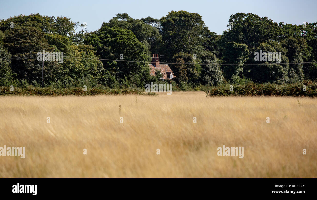 A Summer Countryside scene Stock Photo - Alamy