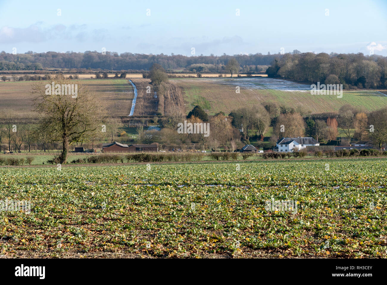 Candover hampshire hi-res stock photography and images - Alamy