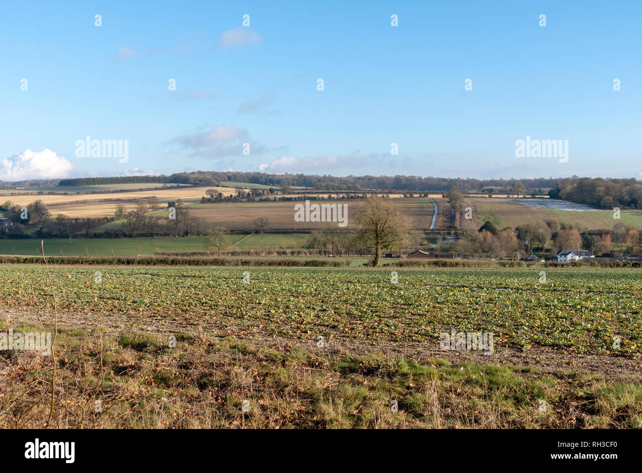Canddovers hi-res stock photography and images - Alamy