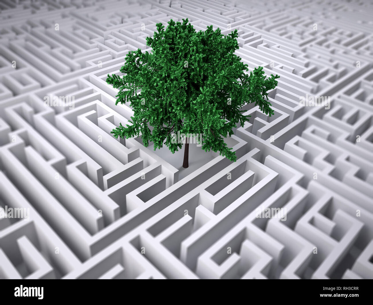 single tree inside endless labyrinth, 3d illustration Stock Photo - Alamy