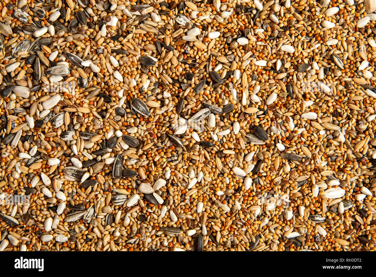 Bird food, scattered birdseed Stock Photo - Alamy
