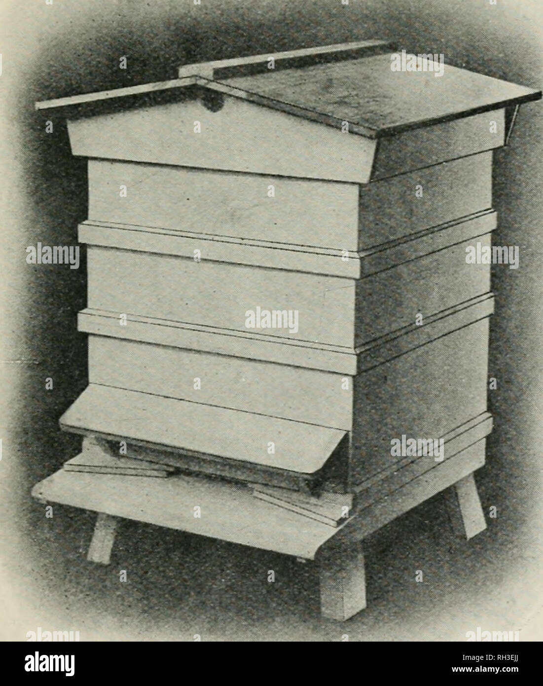 . British bee-keeper's guide book to the management of bees in movable ...